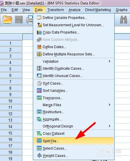 SPSS实例：[10]分割数据的方法 | DataSense